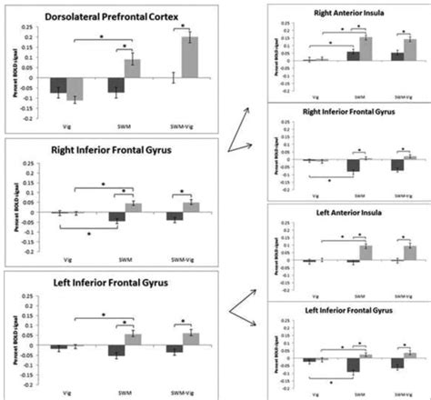 Sex Differences In The Neural Substrates Of Spatial Working Memory During Adolescence Are Not