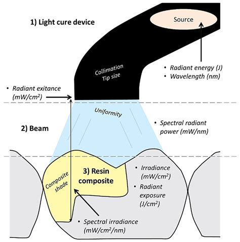 Xenon Plasma Arc Curing Light Shelly Lighting