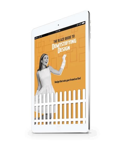 Demystifying Design Blaze Experts