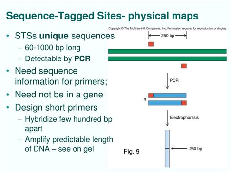 PPT Chapter Topics Genomics Proteomics Bioinformatics PowerPoint Presentation ID