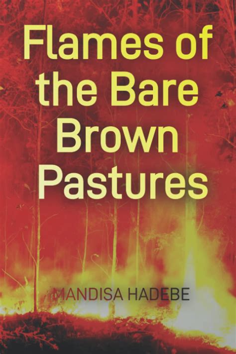 Flames Of The Bare Brown Pastures Hadebe Mandisa 9780620947657 Books