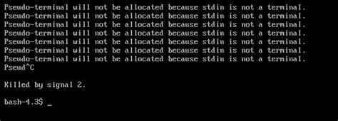 Fix Pseudo Terminal Will Not Be Allocated Because Stdin Is Not A Terminal