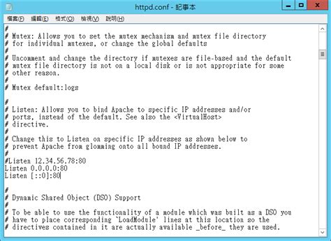 Wamp啟動故障解決 Could Not Execute Menu Item 工程師的日常