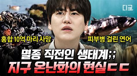 [ 벌거벗은세계사] 수온 상승으로 인해 떼죽음 당하는 바다 생명체들😱 지구 온난화로 인한 제주도의 충격적인 변화💥 인기급상승 Youtube