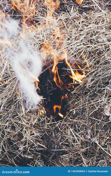 Dry Grass Near The Forest The Forests Are Burning Fire Hazard Stock