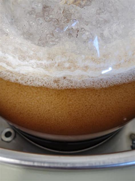 Biosynthesis Process Development Ageias Engineered Systems