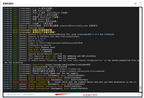使用mcsmanager开服出现问题 · Issue 1164 · Liteldevlevilamina · Github