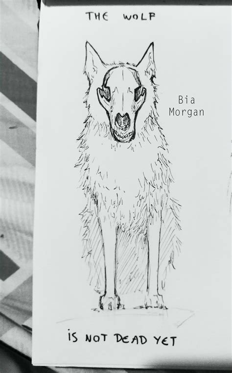 Dead Wolf Drawing