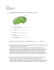 Understanding Chloroplast Components and Photosynthesis Processes | Course Hero