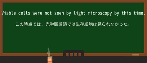 【英単語】microscopyを徹底解説！意味、使い方、例文、読み方