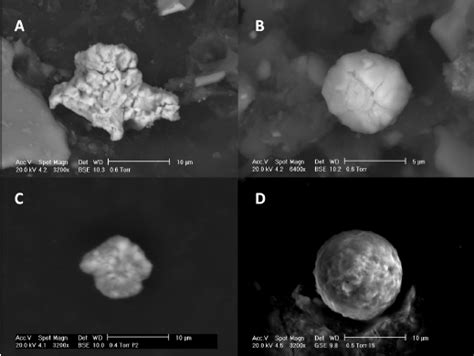 SEM Micrographs Of Particles From Different Sources Present On The Download Scientific Diagram