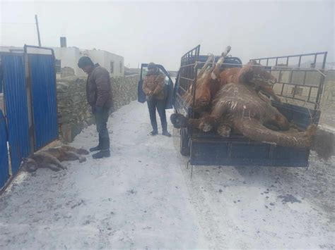 СУМЫН ТӨВИЙН ОРЧНЫ ЦЭВЭРЛЭГЭЭ ХИЙВ