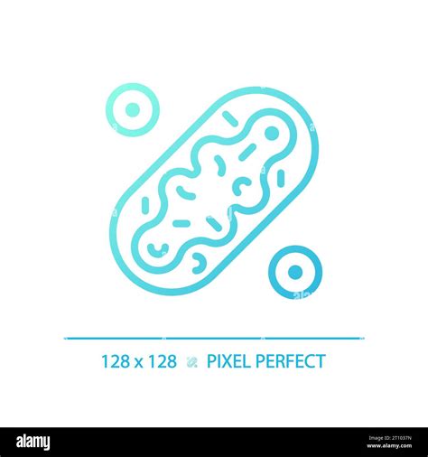 2d Thin Line Gradient Mitochondria Icon Stock Vector Image And Art Alamy