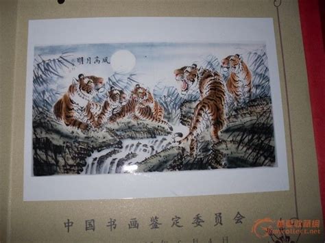 张子善虎子善青山子善大山谷图库