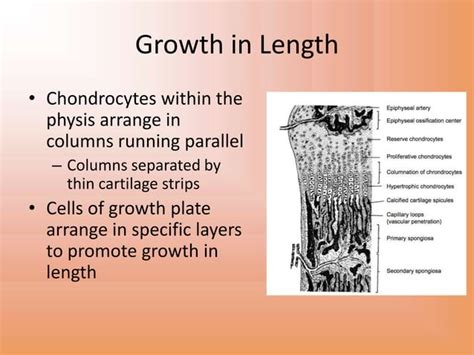 Angular Limb Deformity Ppt