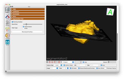 Segmentation Tool Shapeworks