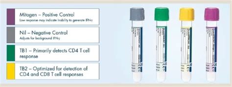 Type II III IV Hypersensitivity Lecture Flashcards Quizlet