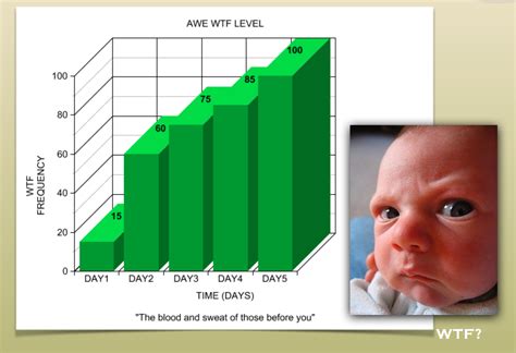 Offsec Exp 401 Awe Course Review · Amriunix