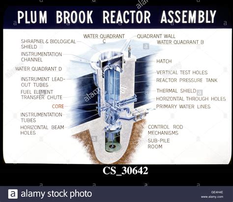 A Cutaway Drawing Of The Plum Brook Reactor Assembly Within The