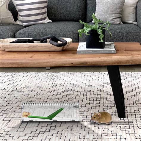 Humane Mouse Catcher（ar09） X Pest