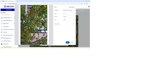 issues with print functionality on web viewer apryse sdk apryse