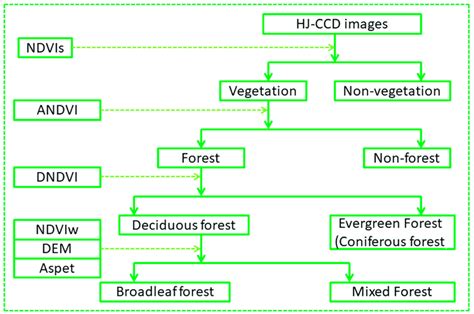 binary decision tree and classification indices download scientific