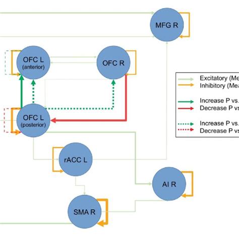 Resting State Dynamic Causal Modeling Dcm Analysis Figure Displays