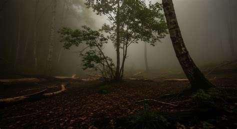 Normative Framework Analysis → Term