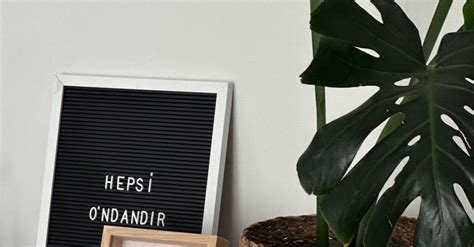 몬스테라 식물과 프레임을 이용한 미니멀리스트 장식 · 무료 스톡 사진