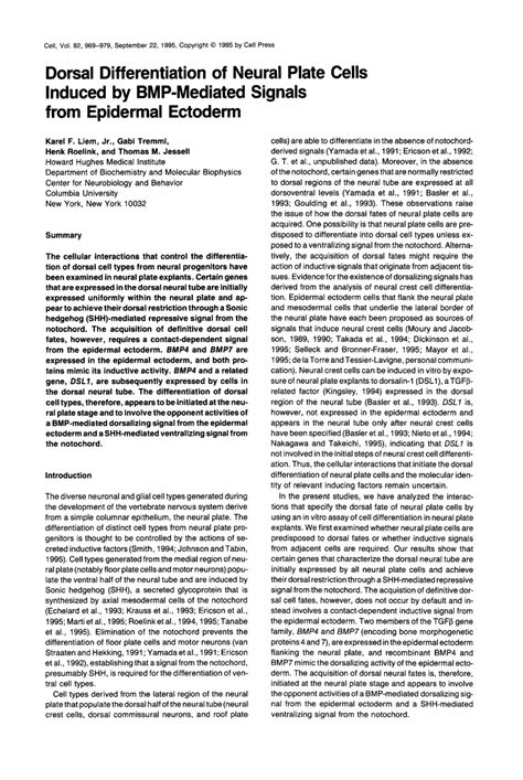 Pdf Dorsal Differentiation Of Neural Plate Cells Induced By Bmp Mediated Signals From