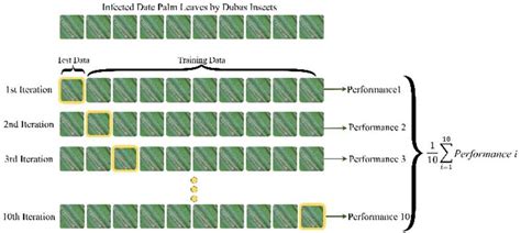 Cross Validation For The Infected Date Palm Leaves Download