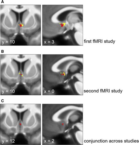 Hierarchical Prediction Errors In Midbrain And Basal Forebrain During