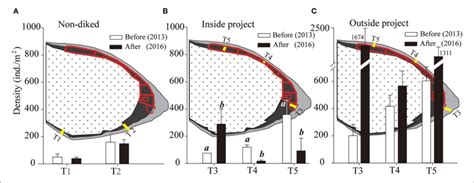 Benthic Macroinvertebrate Density In Different Transects Before And