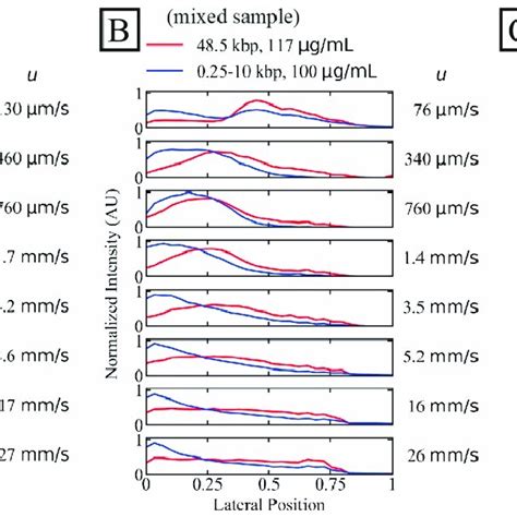 Separation Of Long Dna 485 Kbp From Short Dna 025 Kbp To 10 Kbp