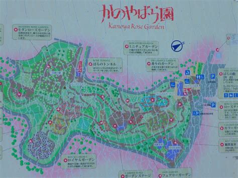 【鹿児島】絶景の「大隅半島」をめぐる旅の写真（かのやバラ園）