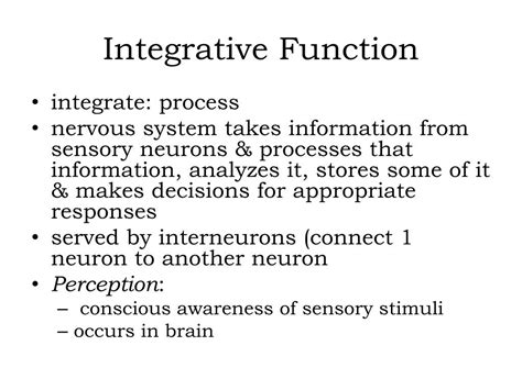 Ppt Introduction To The Nervous System Powerpoint Presentation Free Download Id 2346978