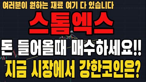 스톰엑스 코인전망 비트코인 이더리움 도지코인 Youtube