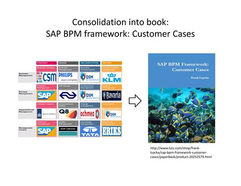 History Sap Bpm Framework Ppt