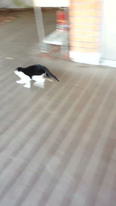 영상이 즐거우셨다면 구독 버튼~ 꾹 눌러주세요~ 화이팅~~ Youtube 영상이 즐거우셨다면 구독 버튼~ 꾹 눌러주세요~ 화이팅~~ Youtube