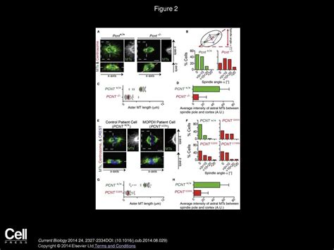 Volume 24 Issue 19 Pages October 2014 Ppt Download