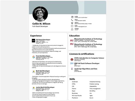 Professional Cv Template With Linkedin Flair Make Your Resume Stand