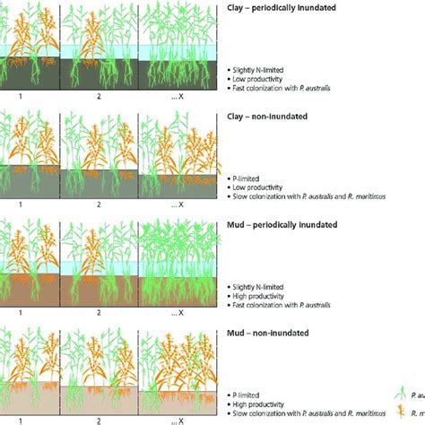 Schematic Summary Of Main Effects On Ecosystem Functioning Based On