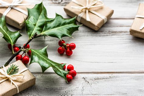 크리스마스 선물 상자 흰색 바탕에 녹색 전나무 분기와 홀리 공장으로 장식 된 소박한 패키지에 0명에 대한 스톡 사진 및 기타 이미지 Istock