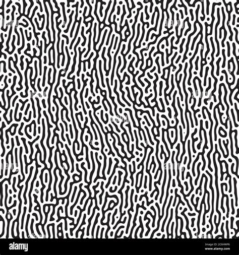Intricate Geometric Turing Pattern In Classic Black And White Seamless Pattern Vector Background