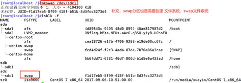 【linux】磁盘分区与永久挂载，实操模拟损坏文件系统，只要一个命令即可修复！！！ Csdn博客