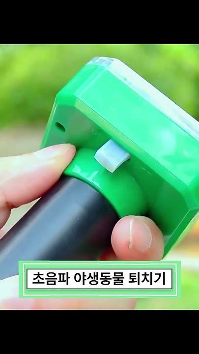 두더지퇴치 조류퇴치 멧돼지퇴치 족제비퇴치 쥐퇴치 Youtube