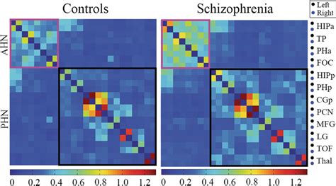 mean z‐transformed connectivity matrices in control and schizophrenia