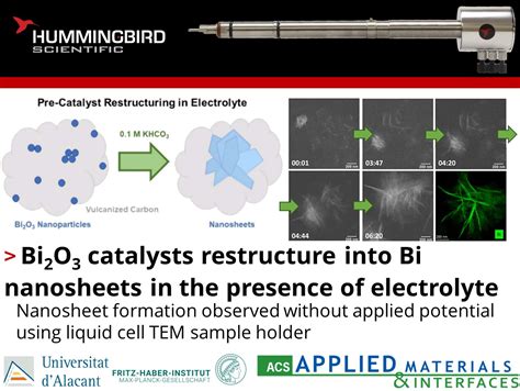 Bi2o3 Catalysts Restructure Into Bi Nanosheets In The Presence Of Electrolyte Hummingbird