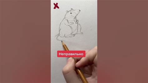 как рисовать крысу Youtube