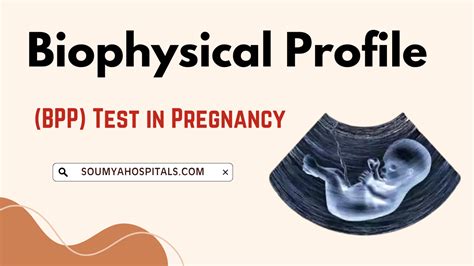 Biophysical Profile Bpp Test In Pregnancy Purpose Process Pros And Cons Biophysical Profile Bpp Test In Pregnancy Purpose Process Pros And Cons